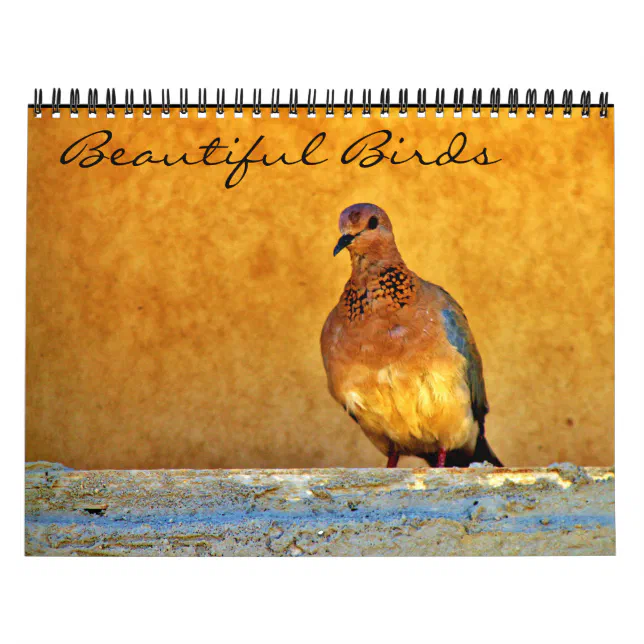 Beautiful Birds Calendar | Zazzle