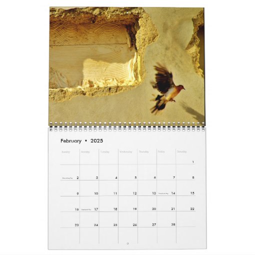 Beautiful Birds Calendar | Zazzle