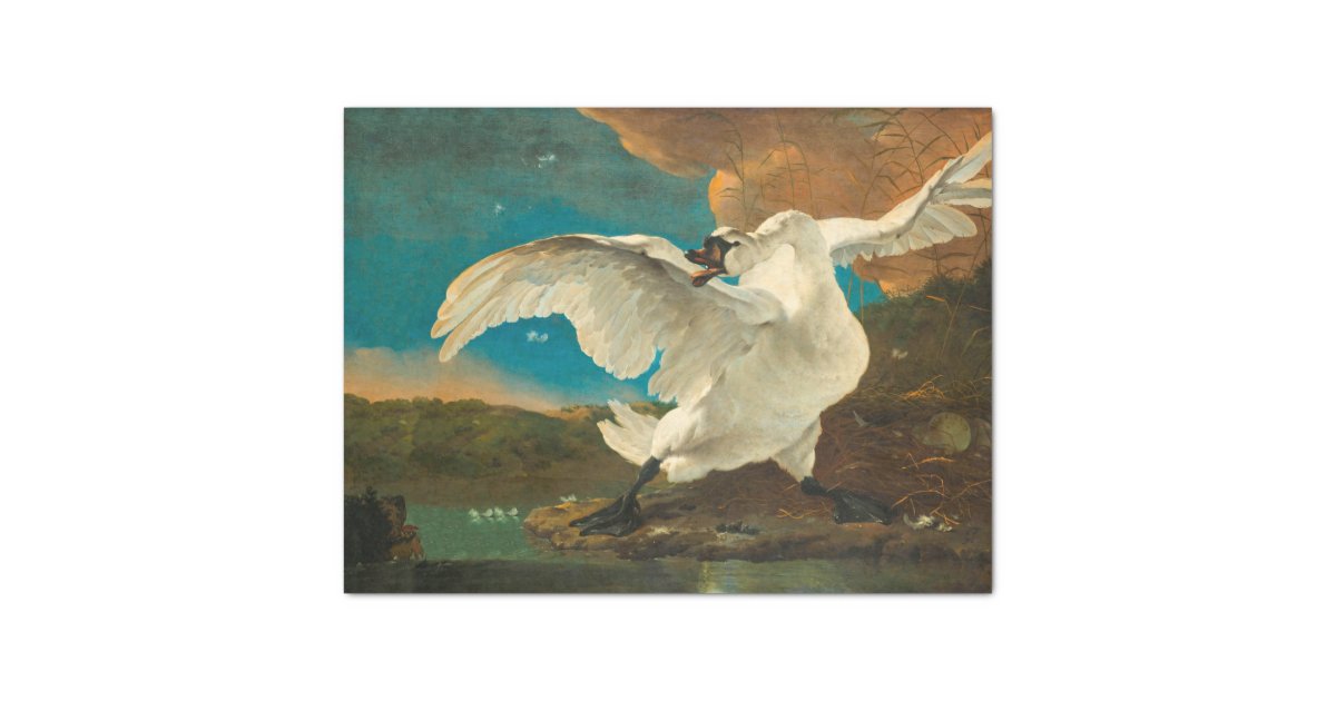 Beautiful Birds, White Swan Vintage Painting Tissue Paper | Zazzle