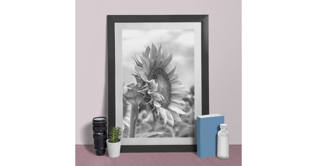 Beautiful Black and White Sunflower Side View Poster | Zazzle