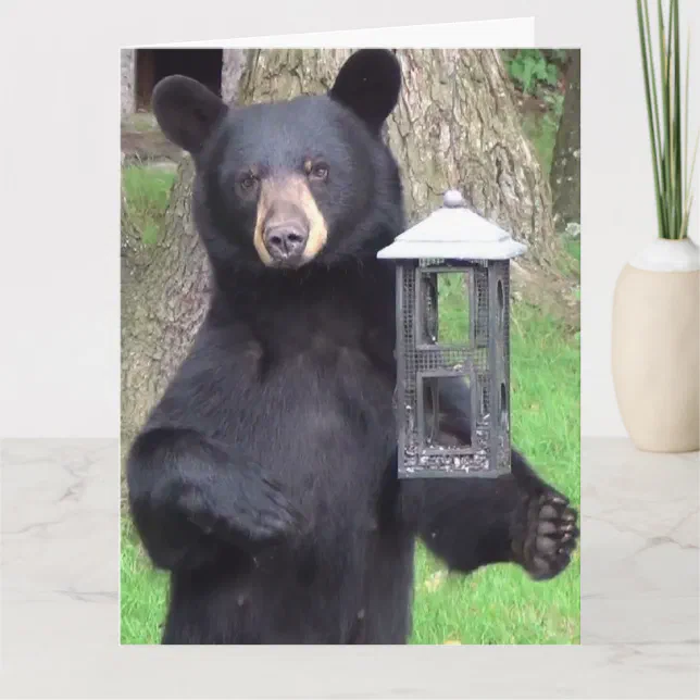 Beautiful Black Bear Enjoying Snack Card | Zazzle