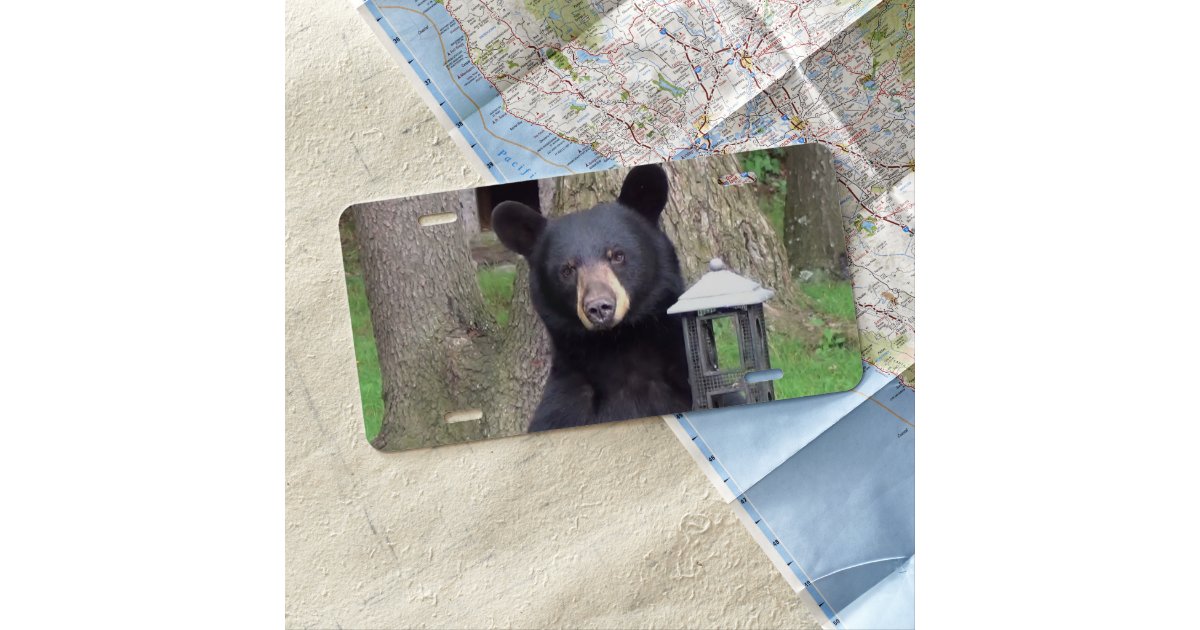 Beautiful Black Bear License Plate | Zazzle