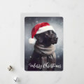 Beautiful Black Lab Santa Christmas Holiday Card | Zazzle