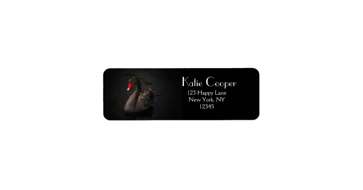 Beautiful Black Swan with a Bright Red Beak Label | Zazzle
