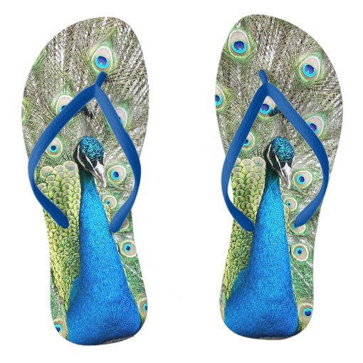 Beautiful Blue Peacock Feathers Flip Flops | Zazzle