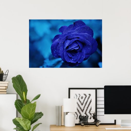 Beautiful blue rose poster | Zazzle