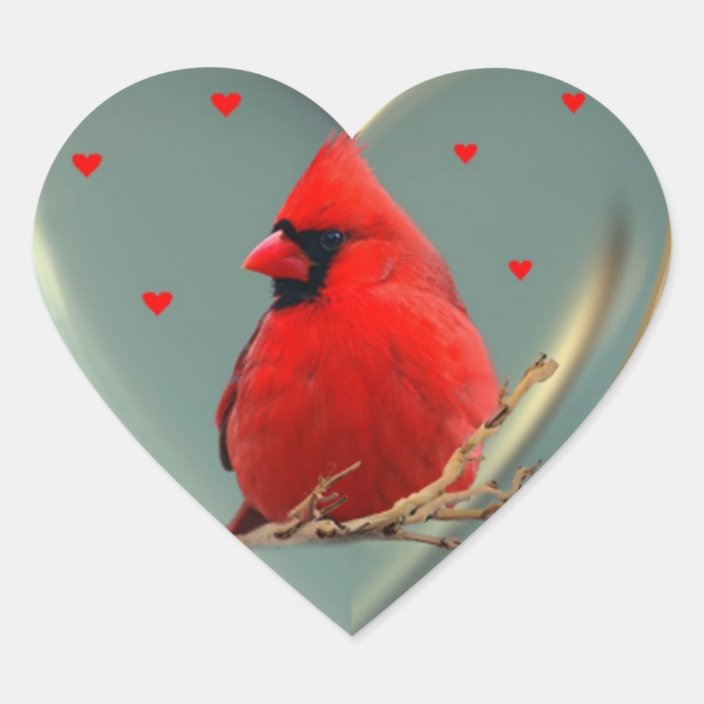Beautiful Bright Red Cardinal, A sticker to deligh | Zazzle.com