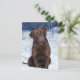 Beautiful Brown Dog Design Postcard | Zazzle