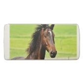 Beautiful Brown Horse Green Grass Eraser | Zazzle