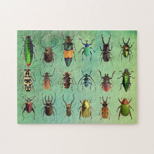 Beautiful Bugs Beetle Mania Puzzle | Zazzle.com