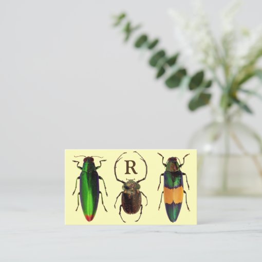Beautiful Bugs | Insects | Monogram | Entomologist Business Card | Zazzle