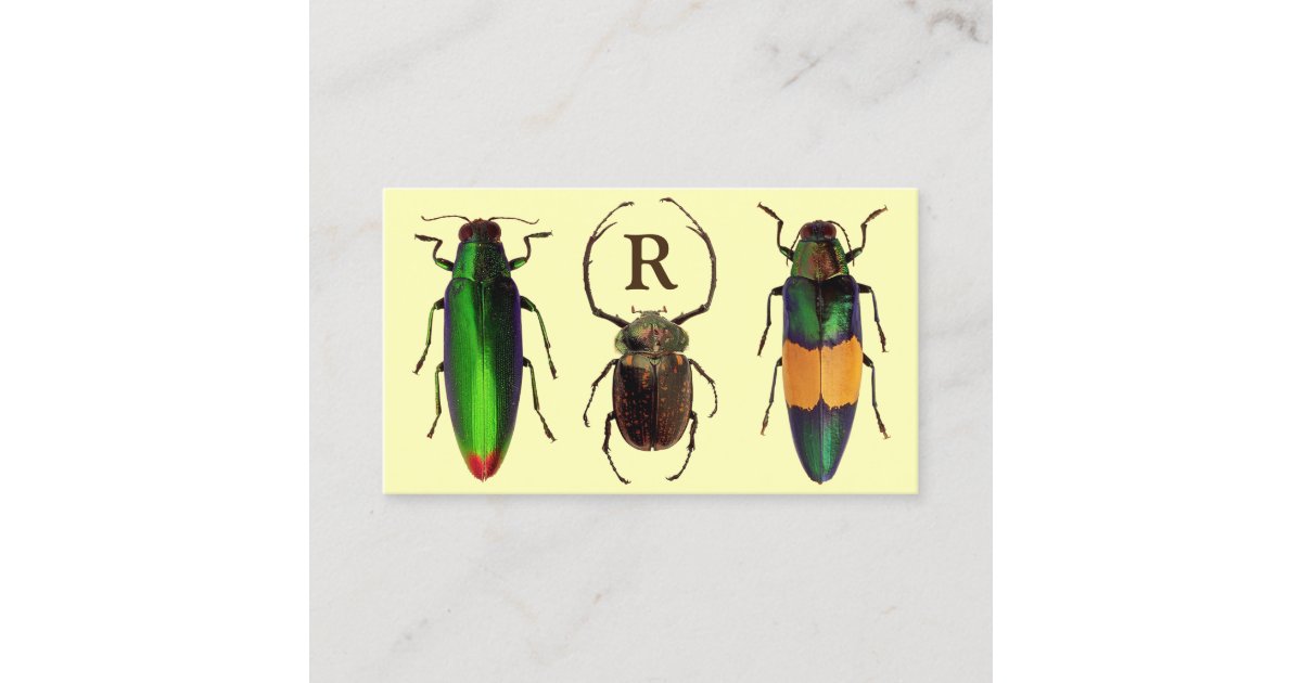 Beautiful Bugs | Insects | Monogram | Entomologist Business Card | Zazzle
