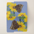 Beautiful Butterfly Set File Folder | Zazzle