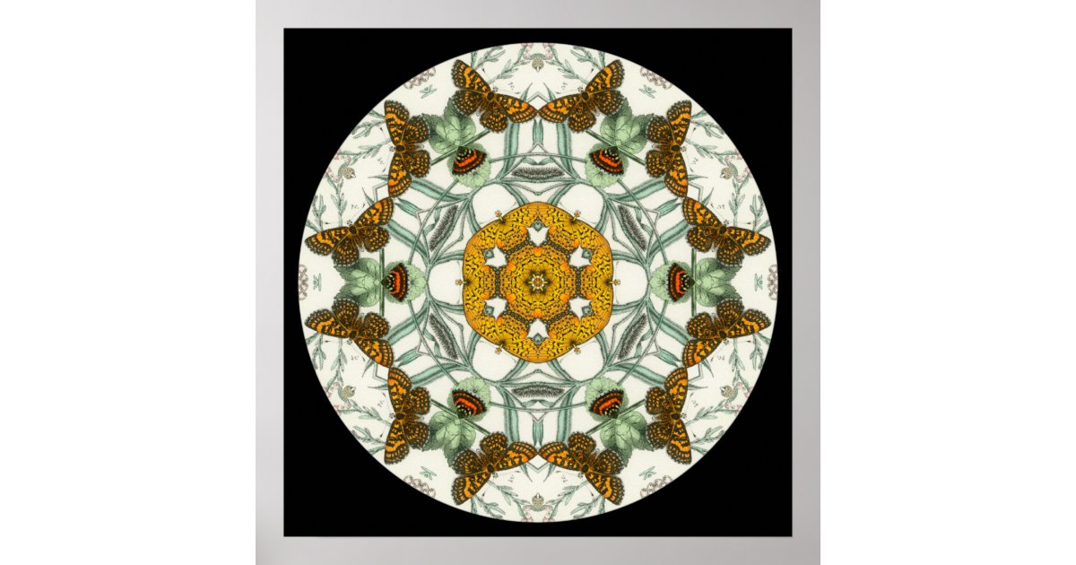 Beautiful butterfly wings mandala poster | Zazzle