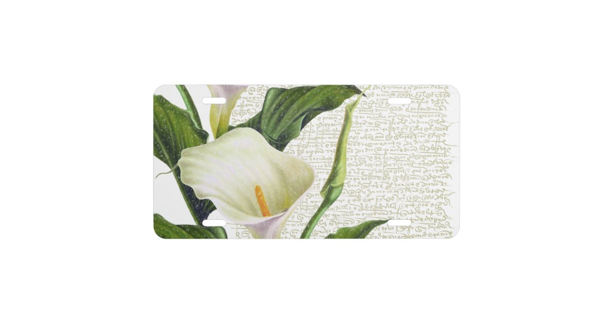 Beautiful Calla Lilies License Plate | Zazzle