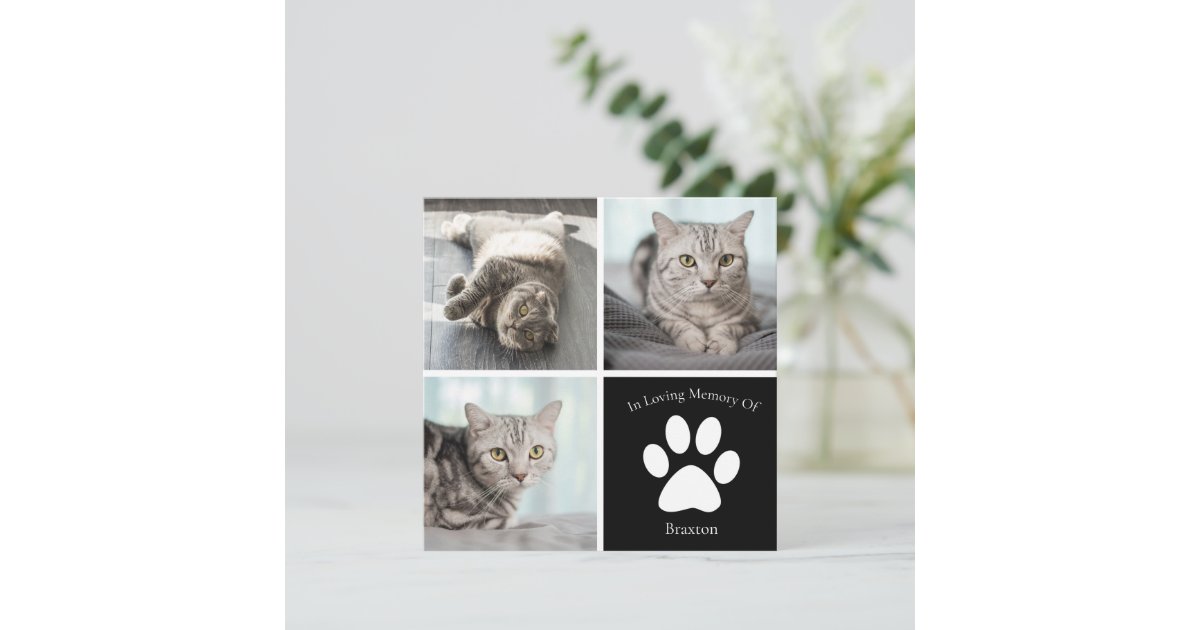 Beautiful Cat Memorial Custom Pet Photo Keepsake Card | Zazzle