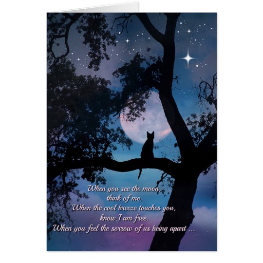Beautiful Cat Poem Sympathy Card | Zazzle.com