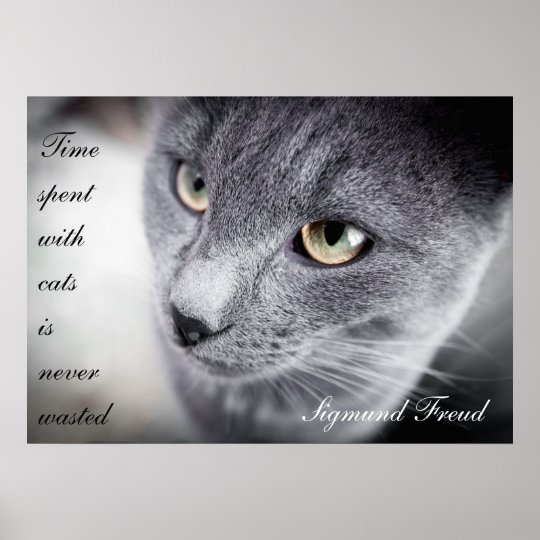 Beautiful cat quote poster - Motivational | Zazzle.com