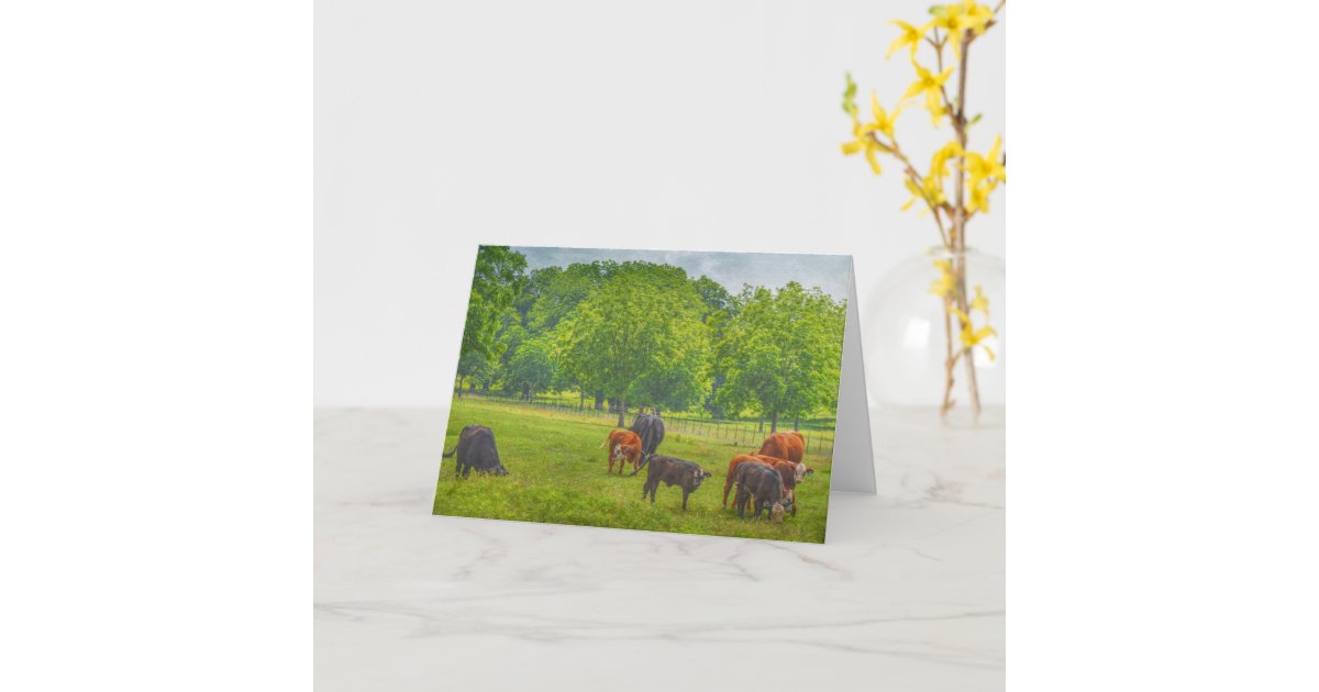 Beautiful Cattle Farm Scene Art Note Card | Zazzle
