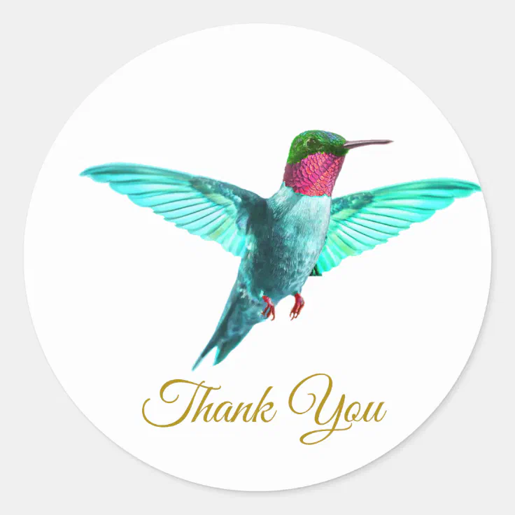 Beautiful colorful hummingbird & golden Thank You Classic Round Sticker ...