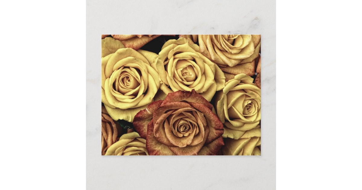 Beautiful Faded Roses Vintage Floral Bouquet Postcard | Zazzle