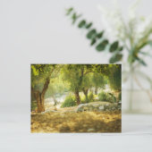 Beautiful Forest Postcard | Zazzle