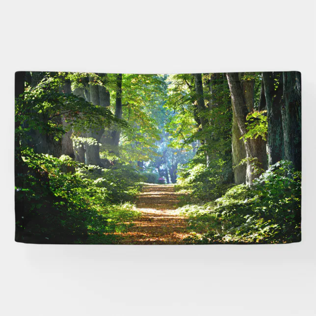 Beautiful Forest Road in Summer Banner | Zazzle