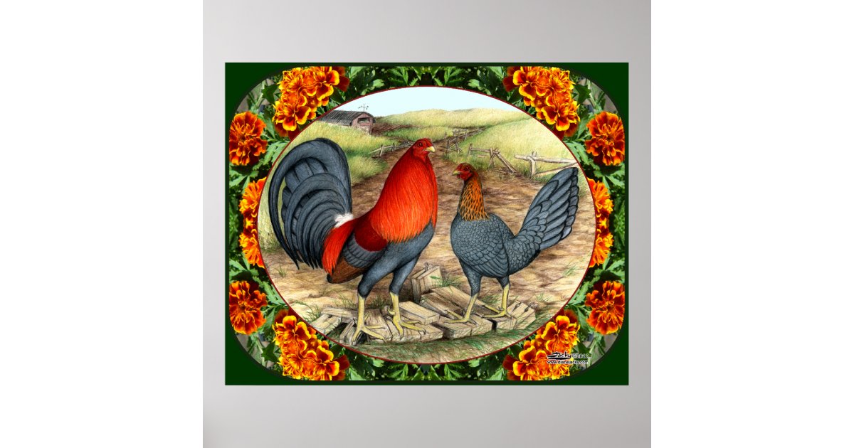 Beautiful Game Fowl Poster | Zazzle