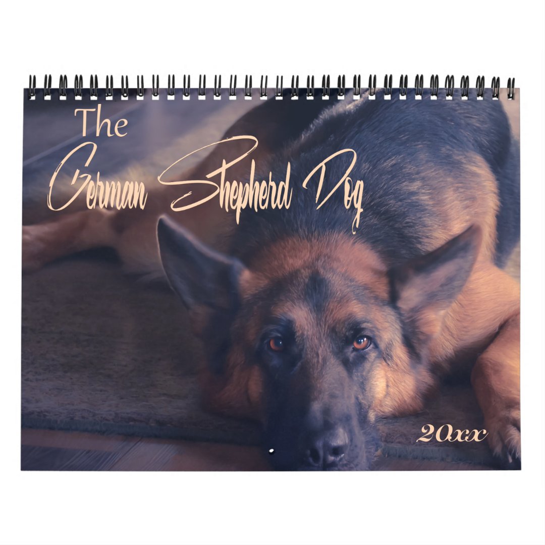 Beautiful German Shepherd Photo Calendar | Zazzle