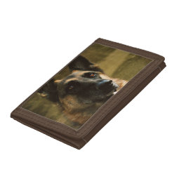 Beautiful German Shepherd with Adoring Eyes Photo Trifold Wallet | Zazzle