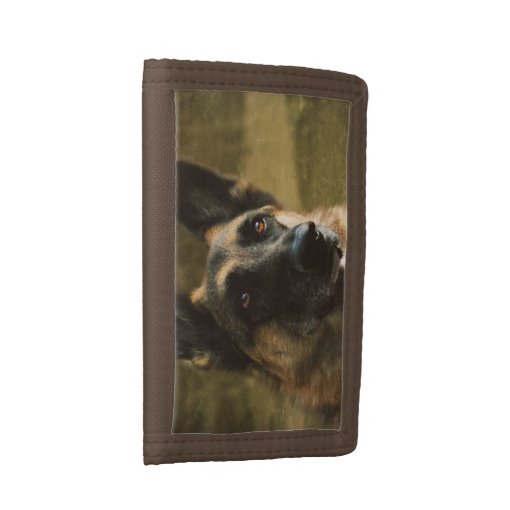 Beautiful German Shepherd with Adoring Eyes Photo Trifold Wallet | Zazzle