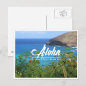 Beautiful green and blue from Maui Hawaii postcard | Zazzle