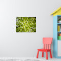 Beautiful Green Forest Poster | Zazzle