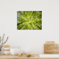 Beautiful Green Forest Poster | Zazzle
