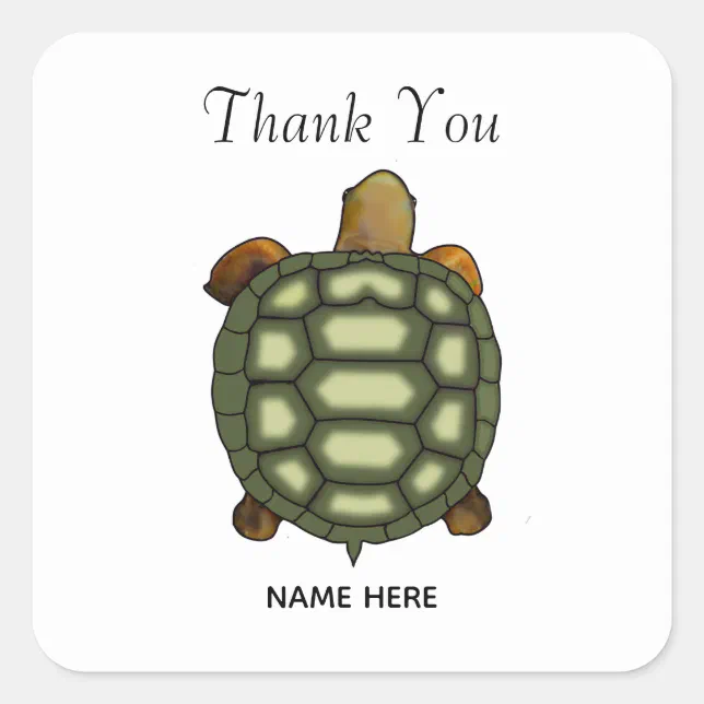 Beautiful Green Turtle on White Thank You Square Sticker | Zazzle