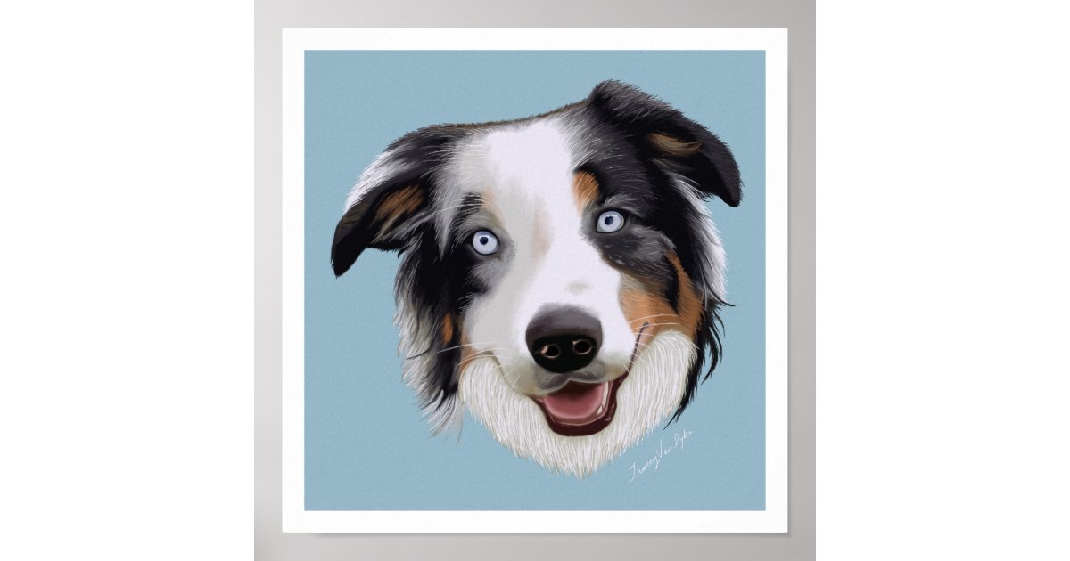 Beautiful Hand Painted Australian Shepherd Poster | Zazzle