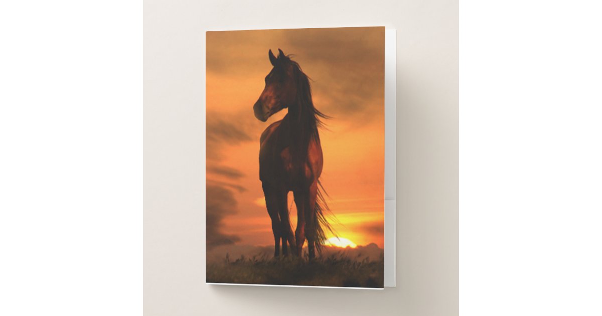 Beautiful Horse Pocket Folders | Zazzle