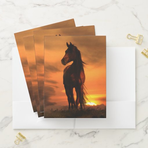 Beautiful Horse Pocket Folders | Zazzle