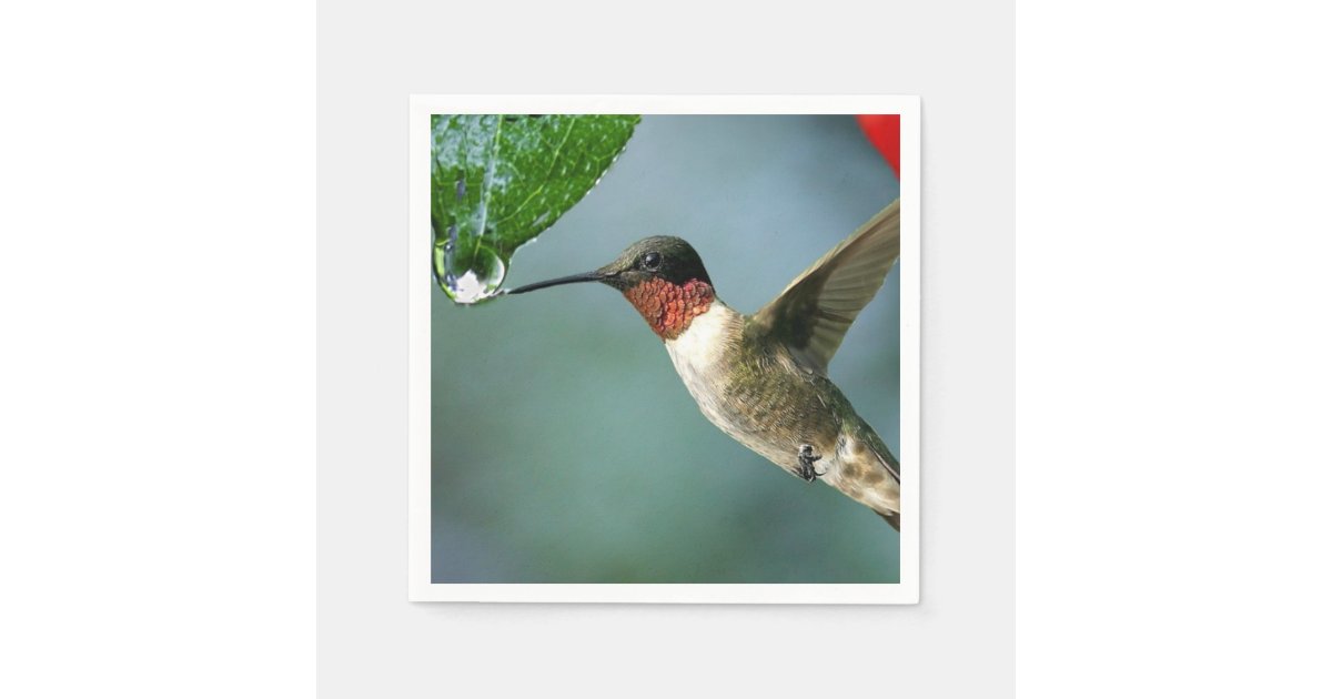 Beautiful Hummingbird Nature Scenery Napkins | Zazzle