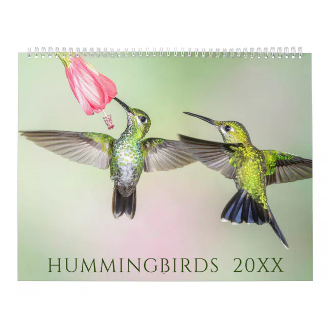 Beautiful Hummingbirds Photo Calendar | Zazzle