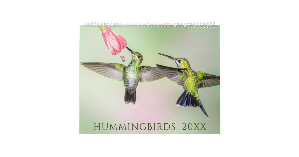 Beautiful Hummingbirds Photo Calendar | Zazzle
