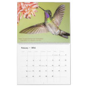 Beautiful Hummingbirds Photo Calendar | Zazzle