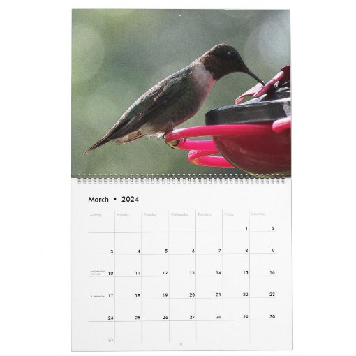 Beautiful Hummingbirds - Pretty Colorful Birds Calendar | Zazzle