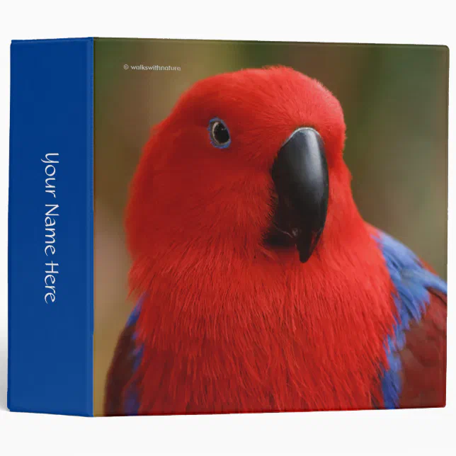 Beautiful "Lady in Red" Eclectus Parrot Binder | Zazzle