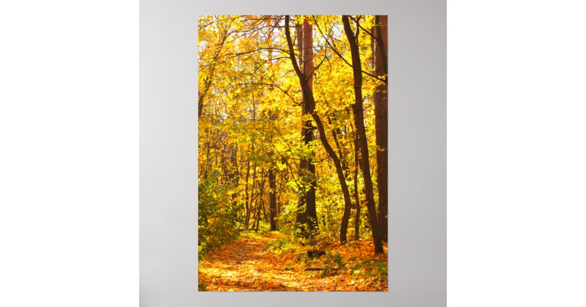 Beautiful Landscape - Road In Autumn Forest Poster | Zazzle