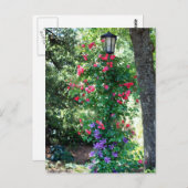 Beautiful Light Postcard | Zazzle