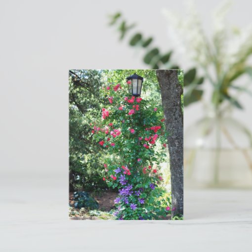 Beautiful Light Postcard | Zazzle