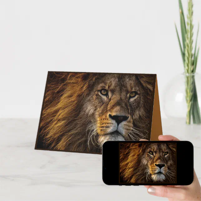 Beautiful Lion Folded Greeting Card | Zazzle