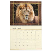 Beautiful Lions Photo Image Calendar | Zazzle