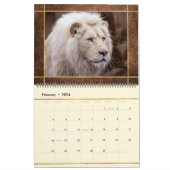 Beautiful Lions Photo Image Calendar | Zazzle